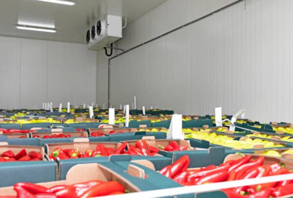 TCCA Chemical Uses in Agriculture & Food Industry